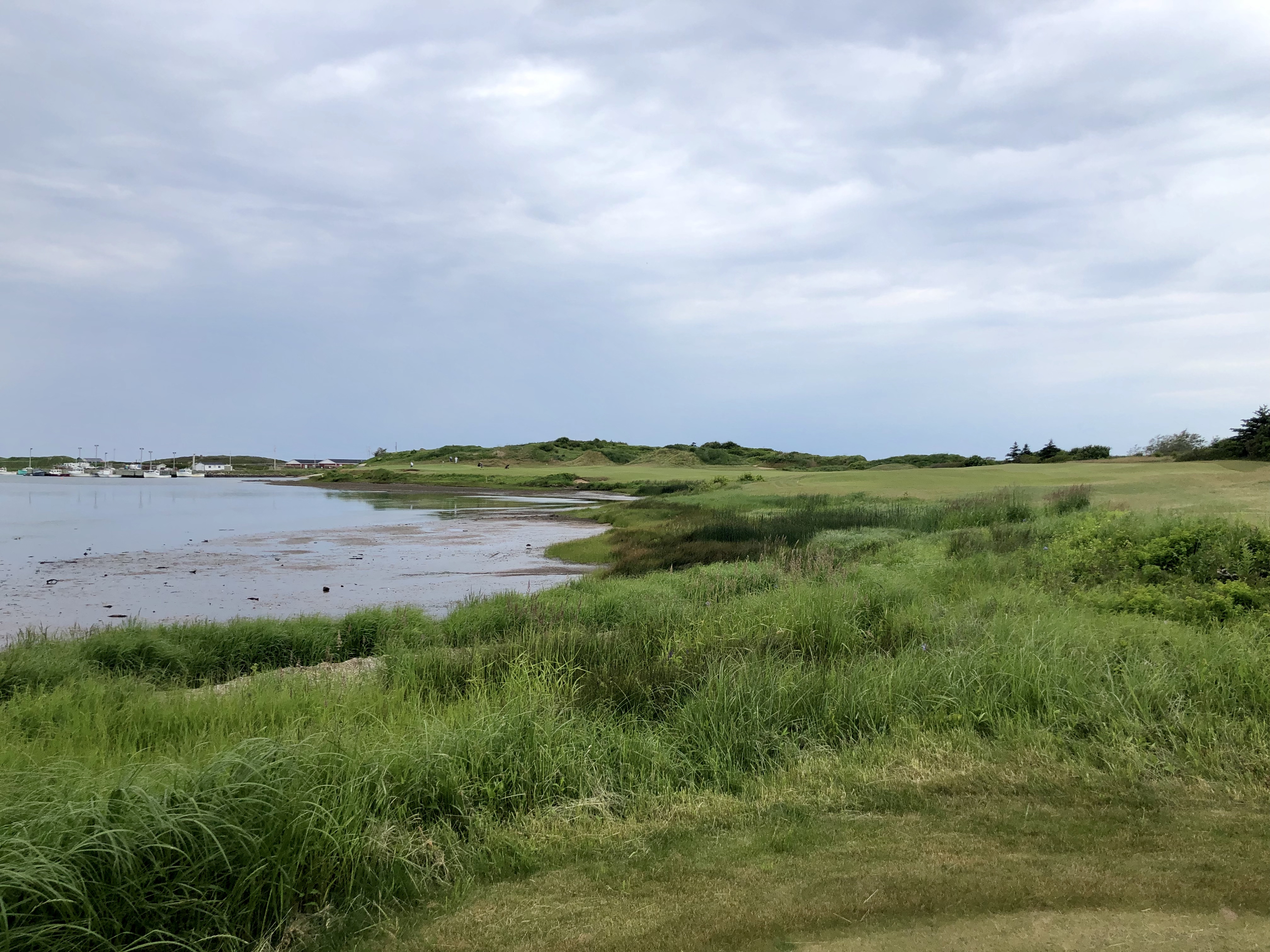 Golf Scrapbook Blog (The Next Ones) – Golf Scrapbook